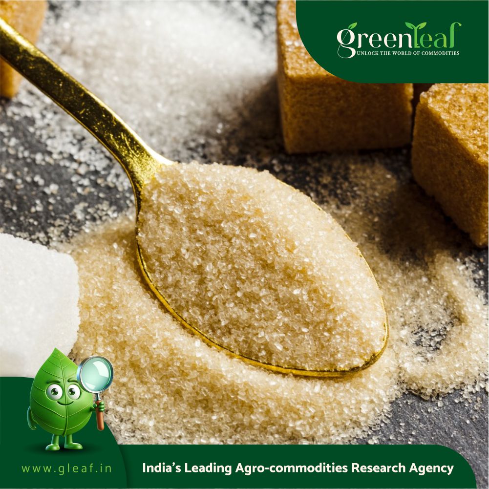 Belize Sugar Industries Prepares Record Shipment of Raw Sugar to the UK