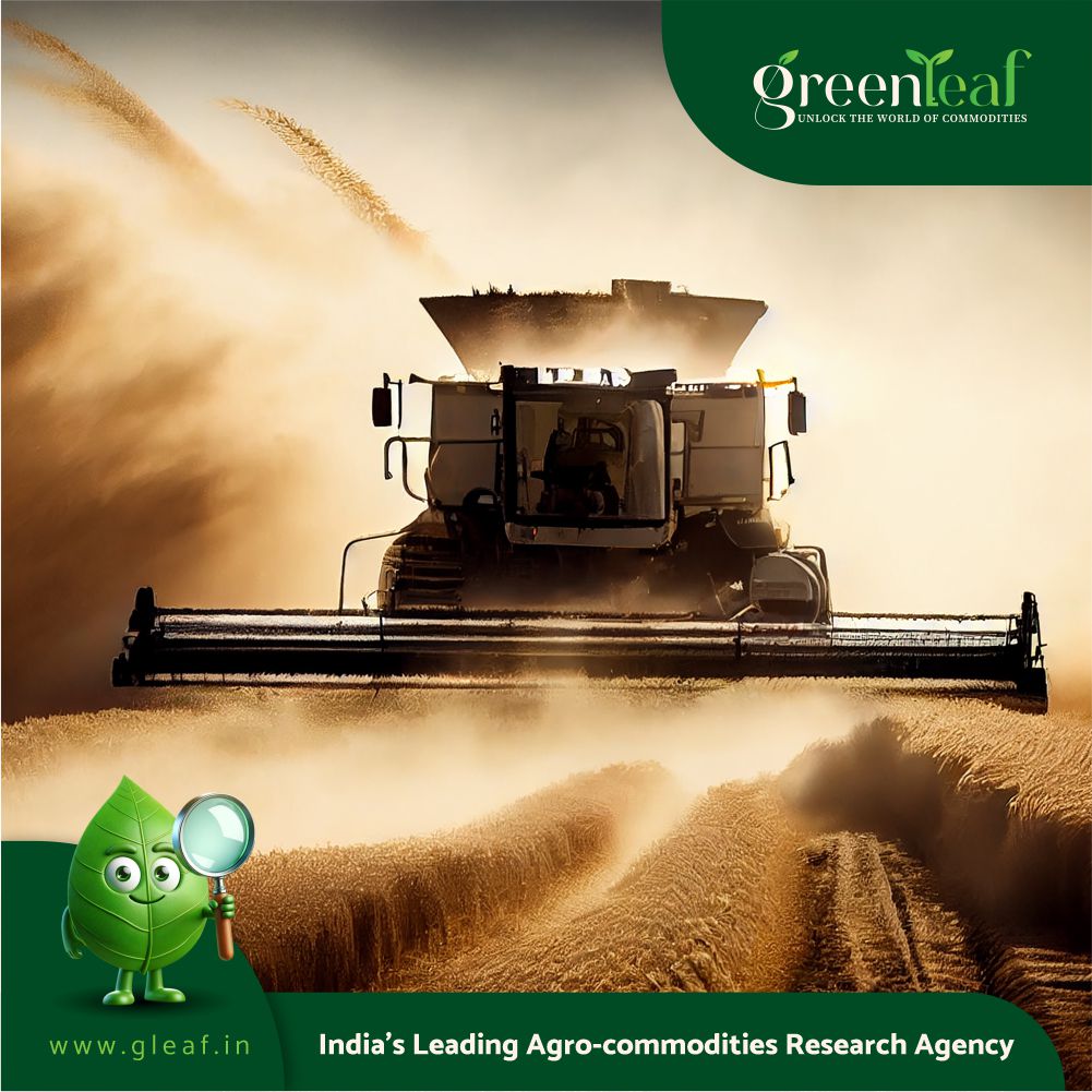 Iraq expects to produce 5 million tonnes of local wheat