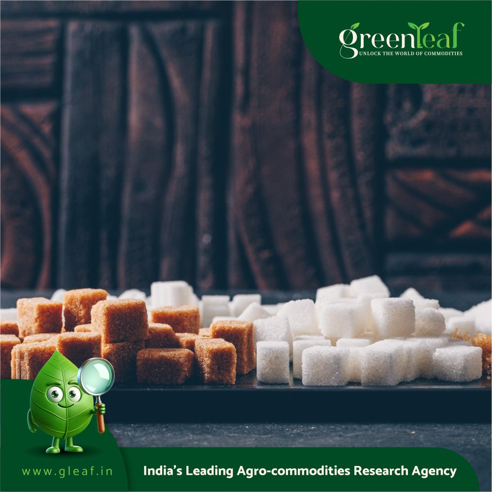 Modi 3.0 stock pick: Experts see over 50% upside in this sugar stock in ...