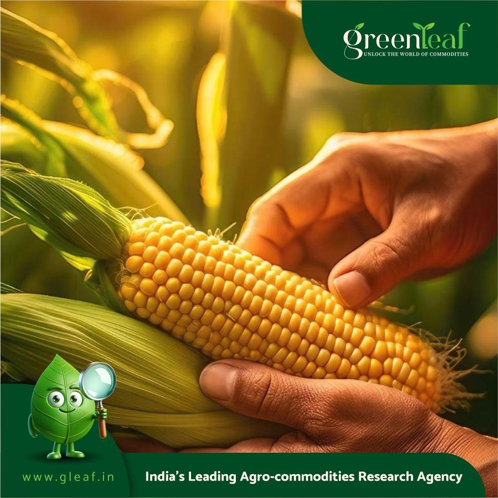 Chicago soybeans, corn drop on tariff concerns