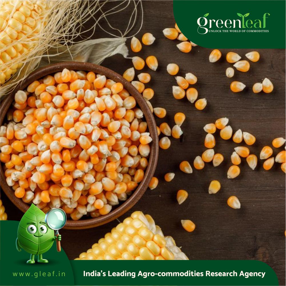 Corn loses more ground on US inventories, trade war