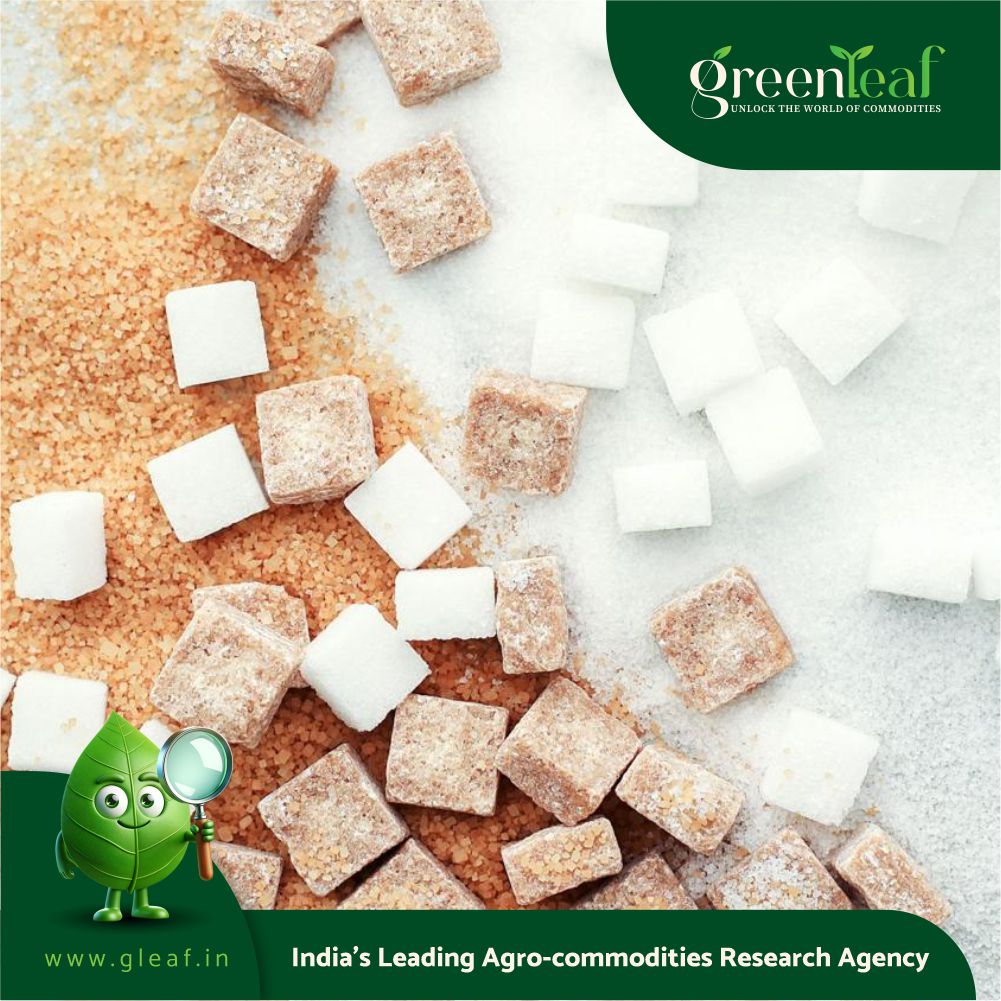 Simbhaoli Sugar Standalone September 2024 Net Sales at Rs 161.57 crore ...