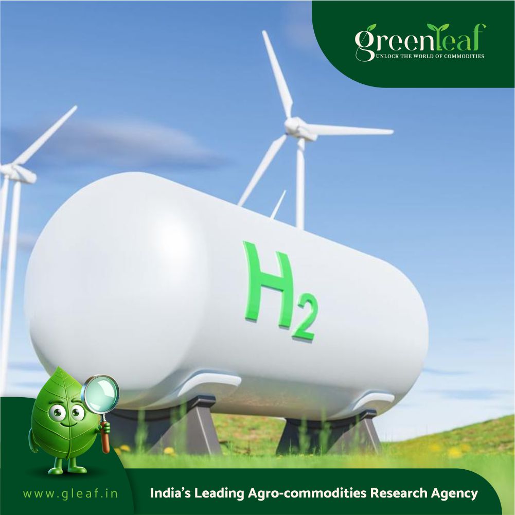 Hydrogen fuel: Move slowly from grey to green