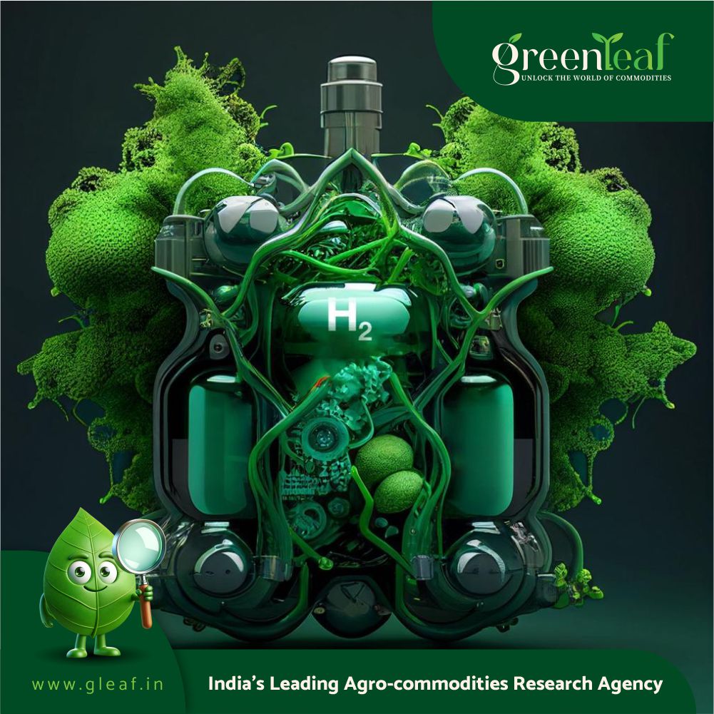 Commissioning begins for first stretch of hydrogen pipelines to serve ...