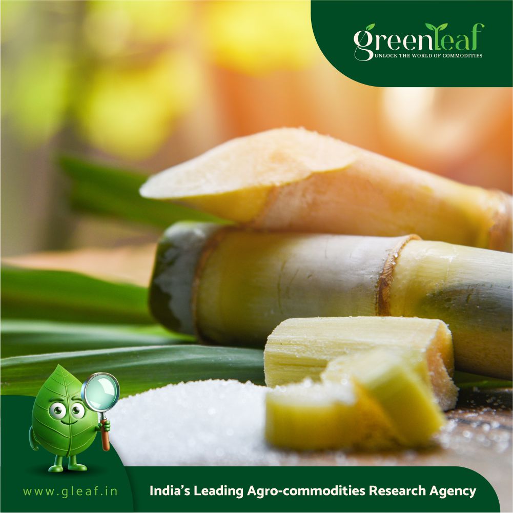 Davangere Sugar Reports ₹53.75 Crore EBITDA in FY25; Continues to Drive ...