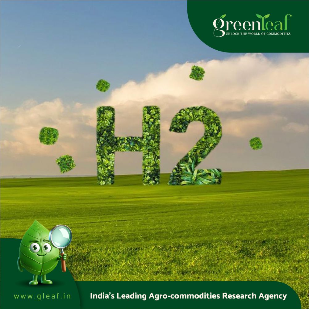Oswal Energies signs MoU with Deendayal Port Authority to develop Green ...