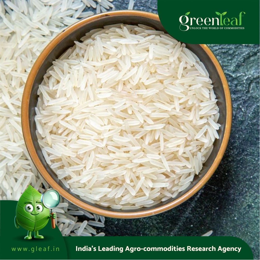 Spl rice OMS to begin in Feb for Ramadan - Bangladesh