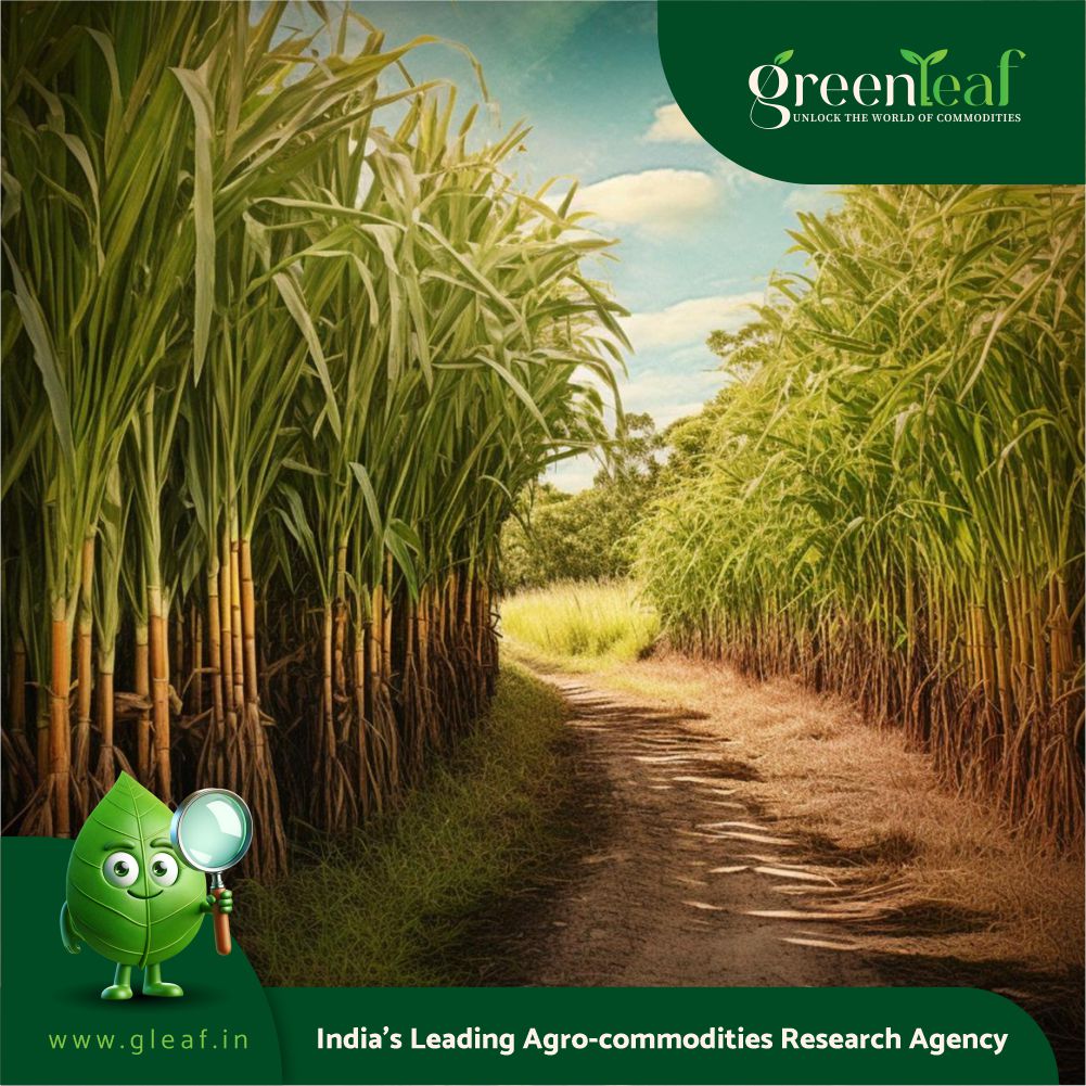 Sugarcane to sustainability: India gets its first fully integrated PLA ...