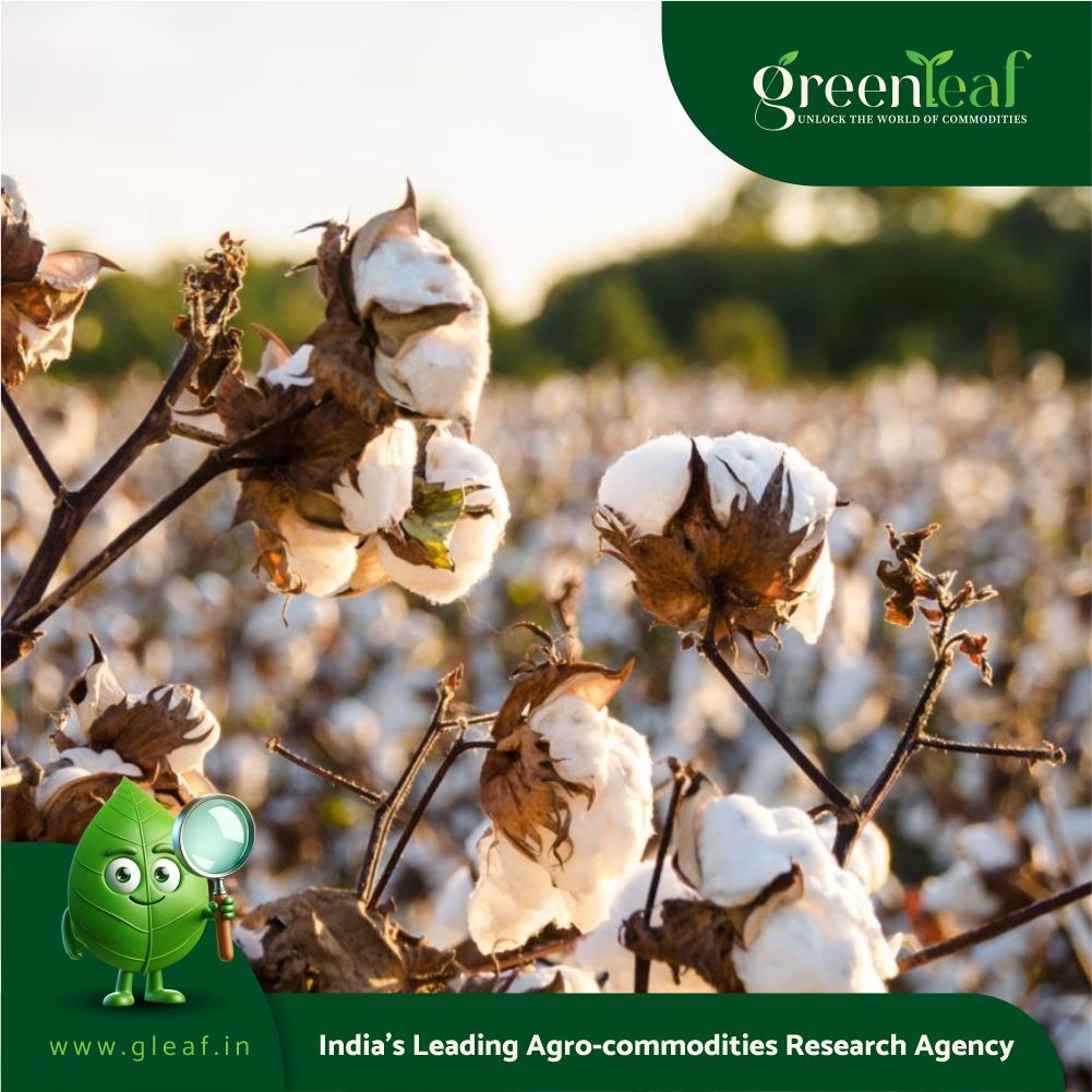 Two Decades of Bt Cotton in India: A Story of Progress and Persistent ...