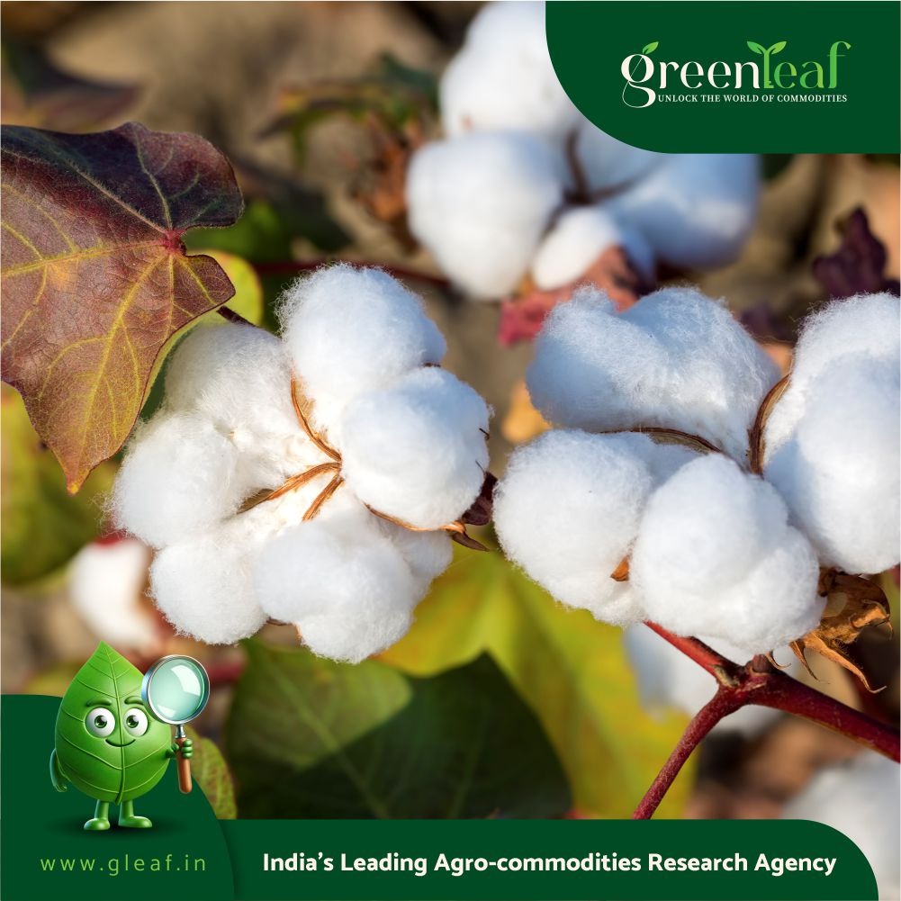 Cotton Technology Research Techniques Sanctioned by Agriculture Committee