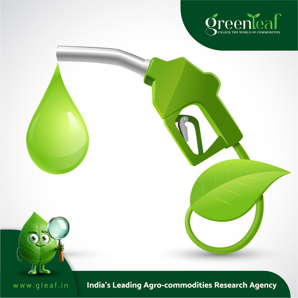 Rapid growth for biodiesel and renewable diesel in 2024