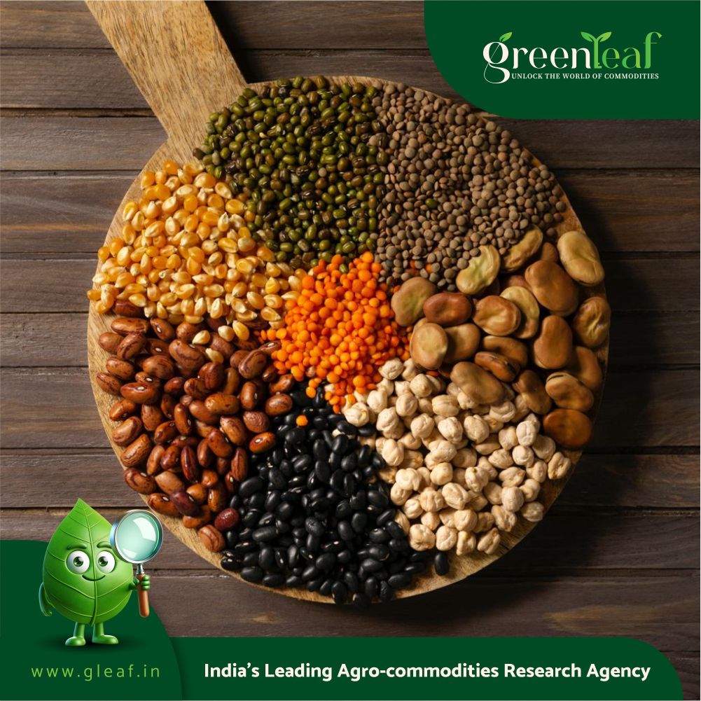 Indore Commodities Buzz Of November 6: Price Of Gold, Silver And Pulses-- All You Need To Know