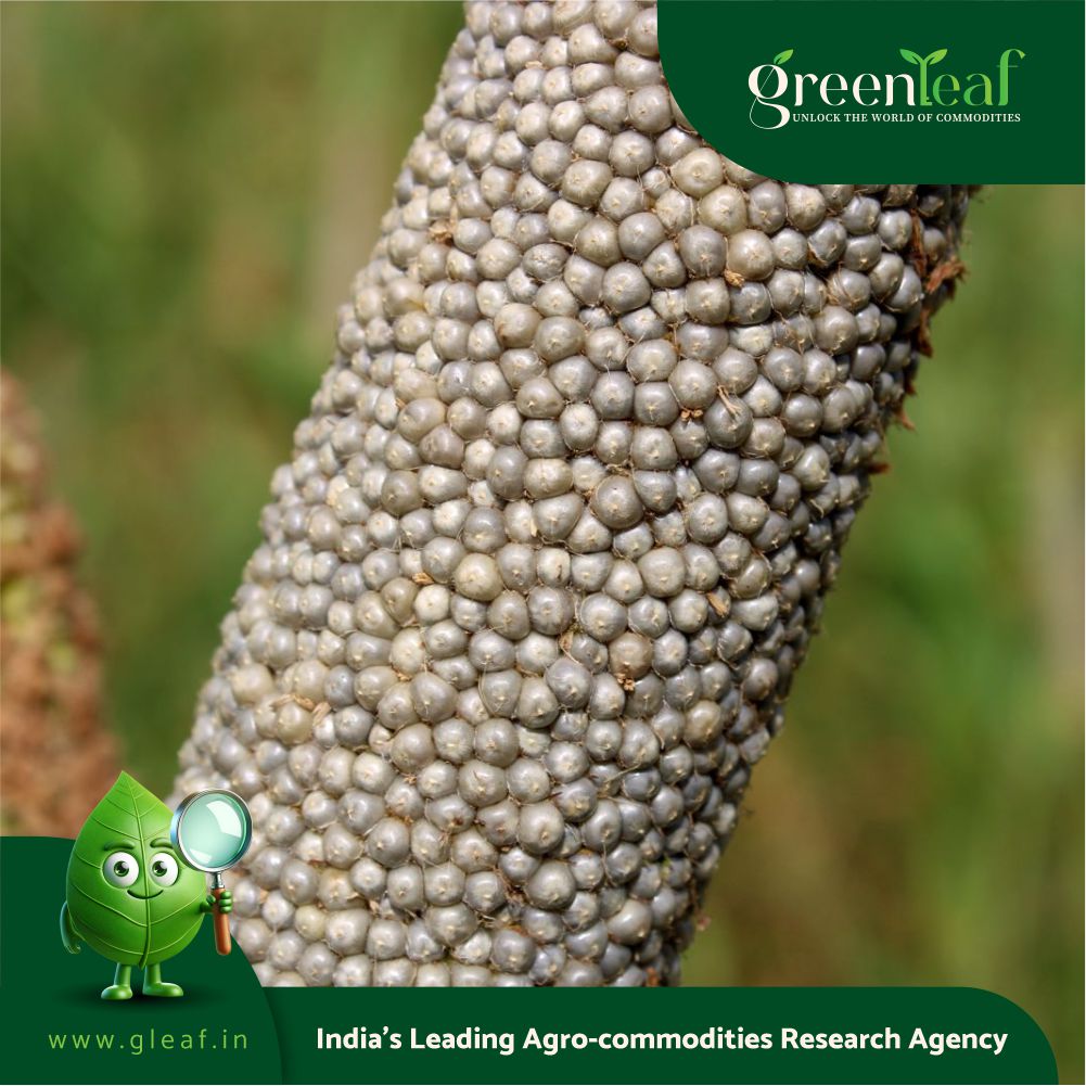Requirements for domestic and export trade of millets laid down vide ...