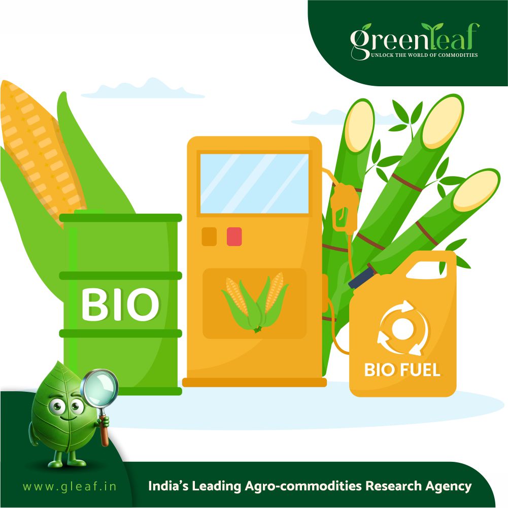 Demand to include biofuel biogas under non-polluting ‘white category’