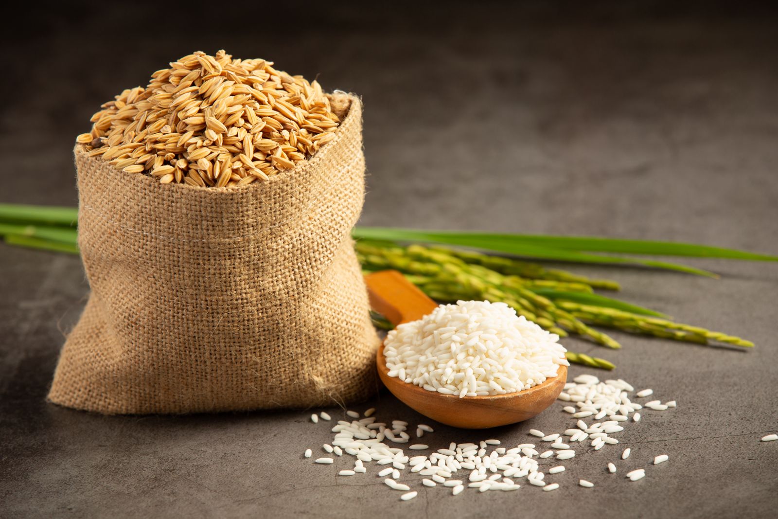 Assam announces incentive for grain-based ethanol production