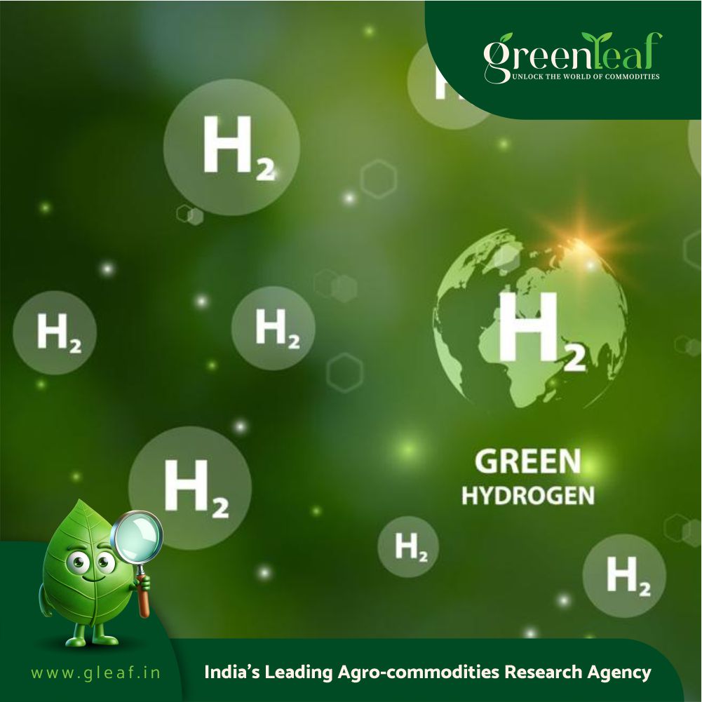 Floating green hydrogen and ammonia project lines up Ohmium for 300MW ...