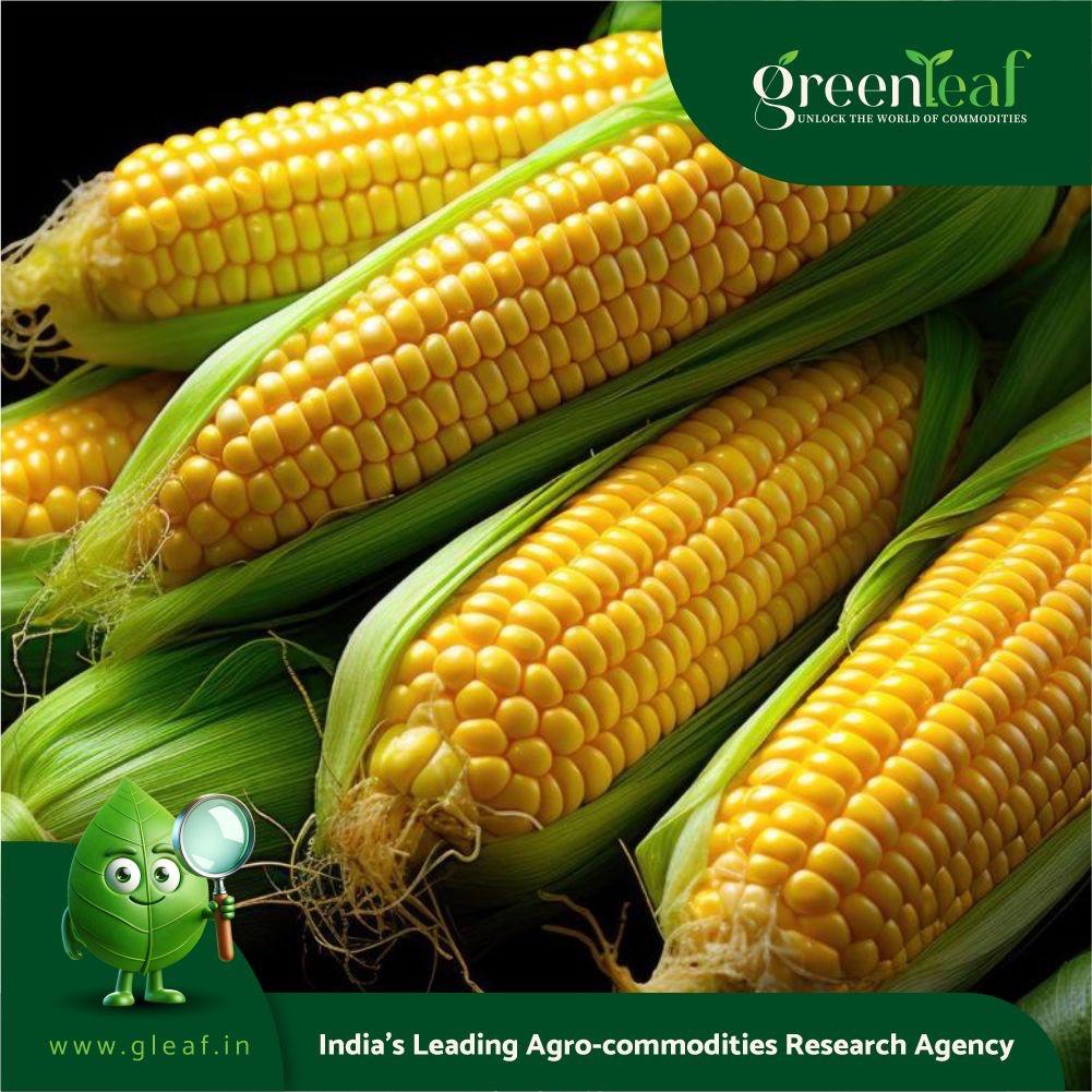 Corn holds near 16-month high on strong US export demand