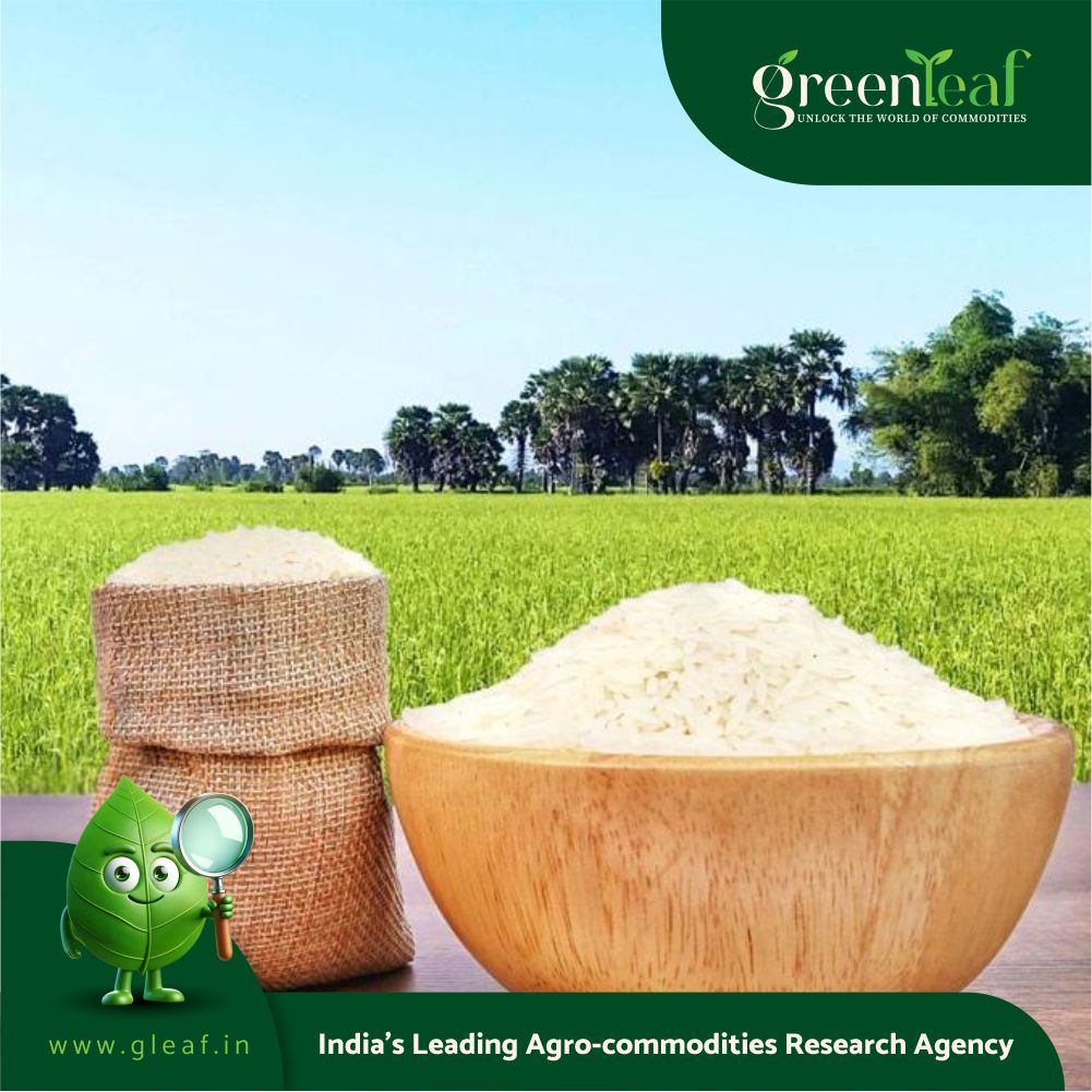 Indonesia leading importer of Myanmar rice in FY 2023-2024