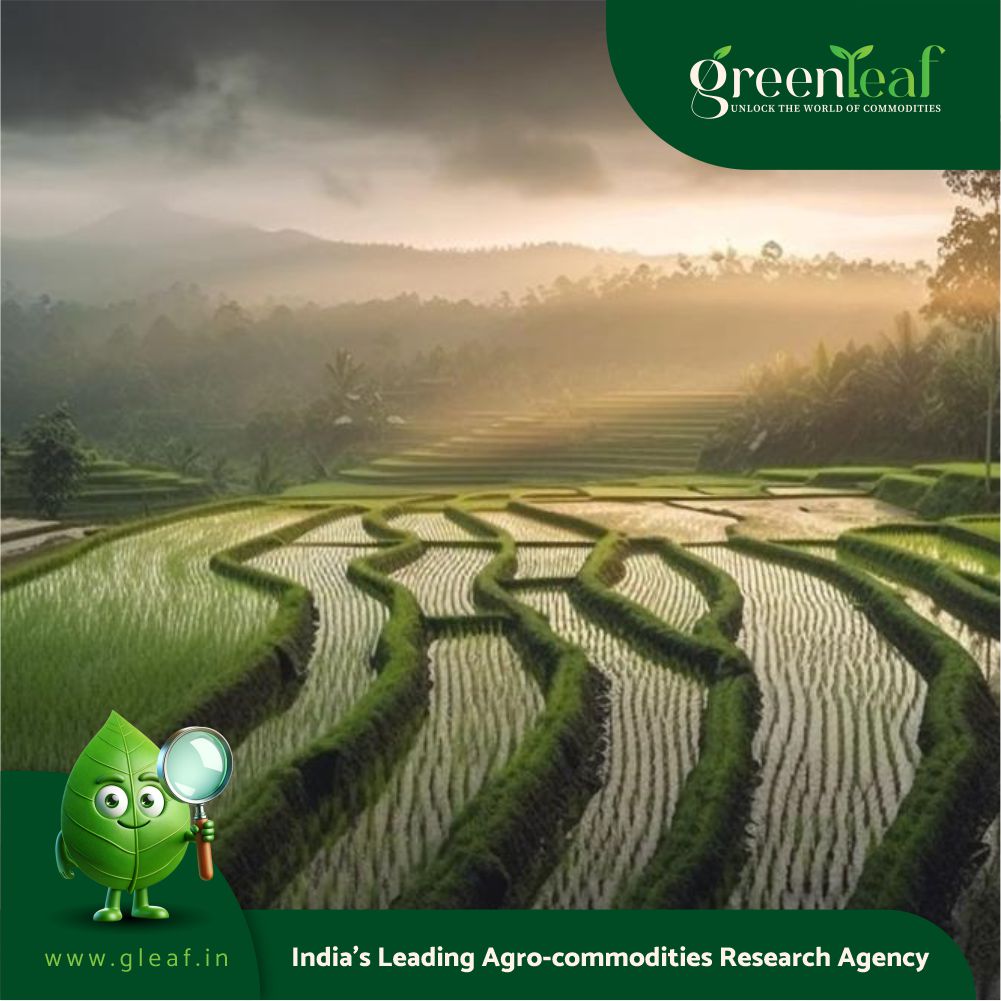 ‘Must preserve traditional Goan rice varieties’