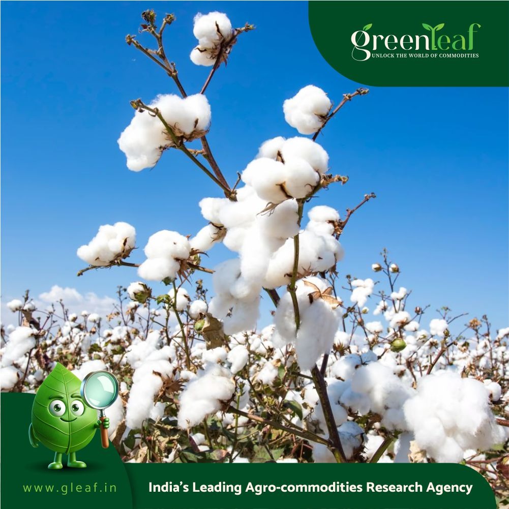 Cotton growers to contribute to fatigue management project