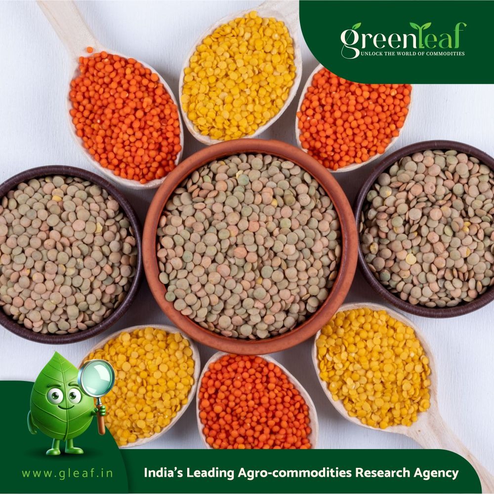 Argentina soybean meal basis turns negative after nearly two years
