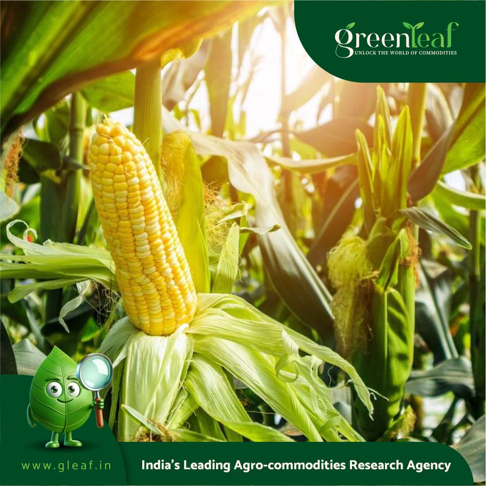 Corn Fall on Wednesday as Liberation Day Tariffs Announced