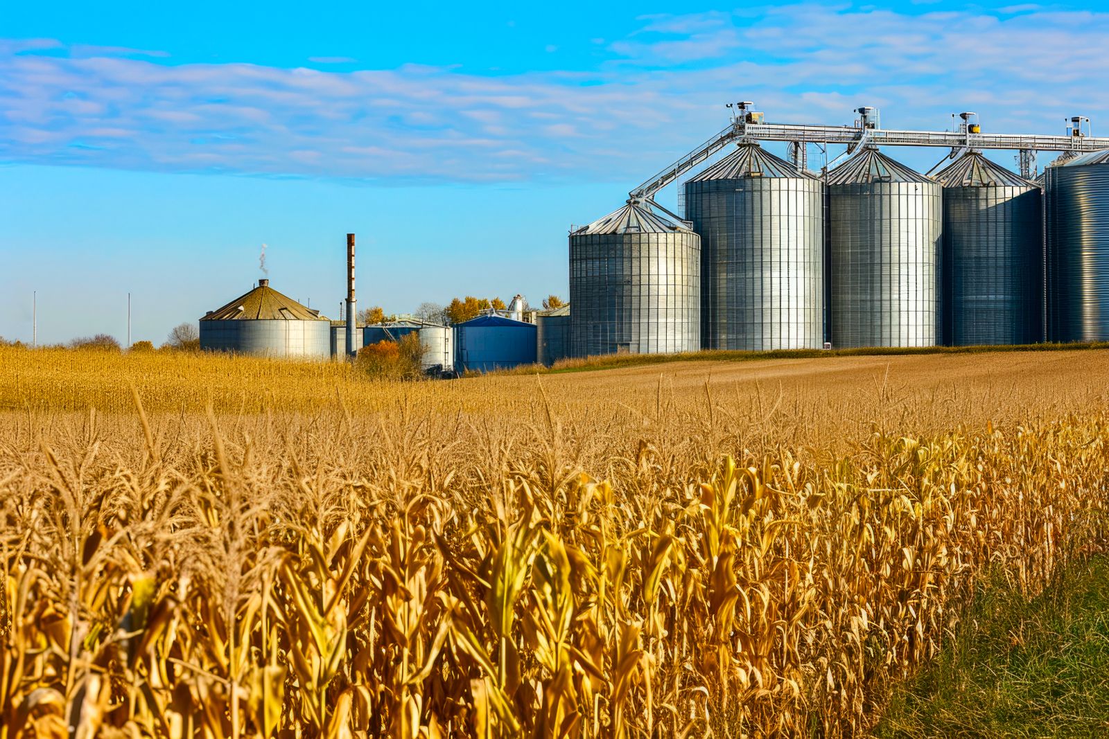 Red Trail Energy Becomes First Ethanol Plant To Enter Voluntary Carbon ...