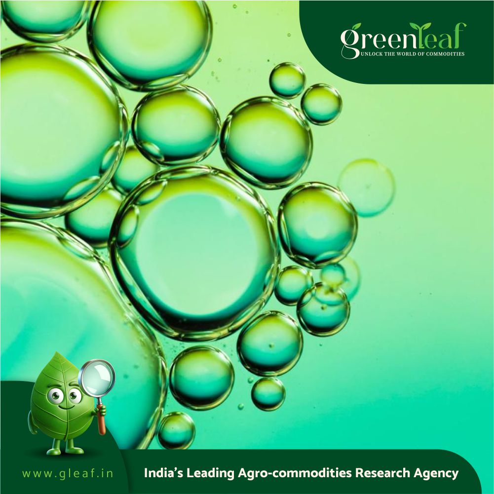 Kerala's Green Hydrogen Initiative Recognized Globally at World ...