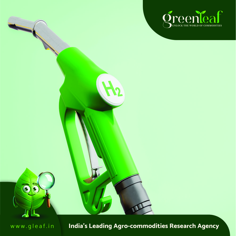 Green Hydrogen Summit kicks off at Abu Dhabi Sustainability Week 2025