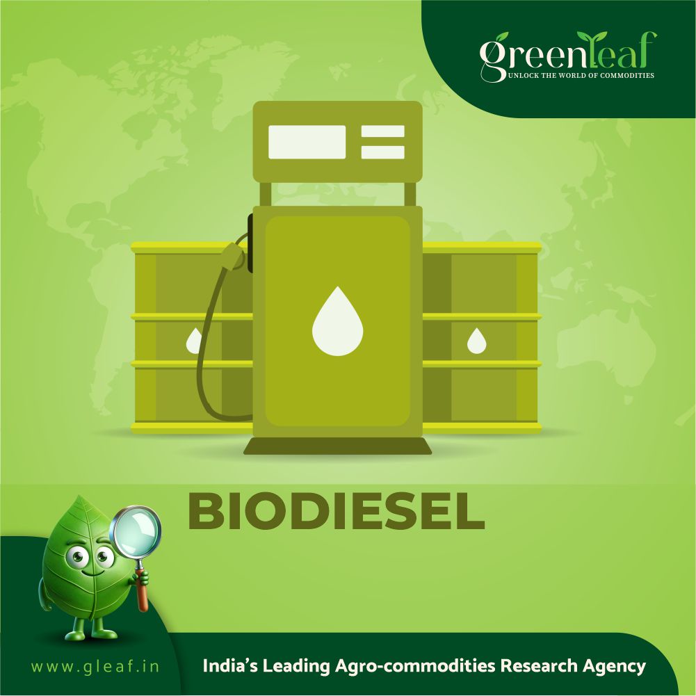 First distillation column in Verbio rapeseed oil methyl ester-based ...
